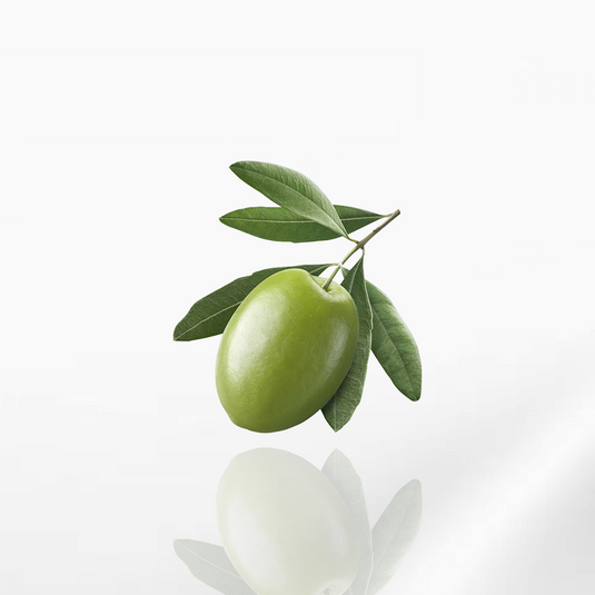 The Science Inside Every Drop of Olive Serum. – Alra Skin Care